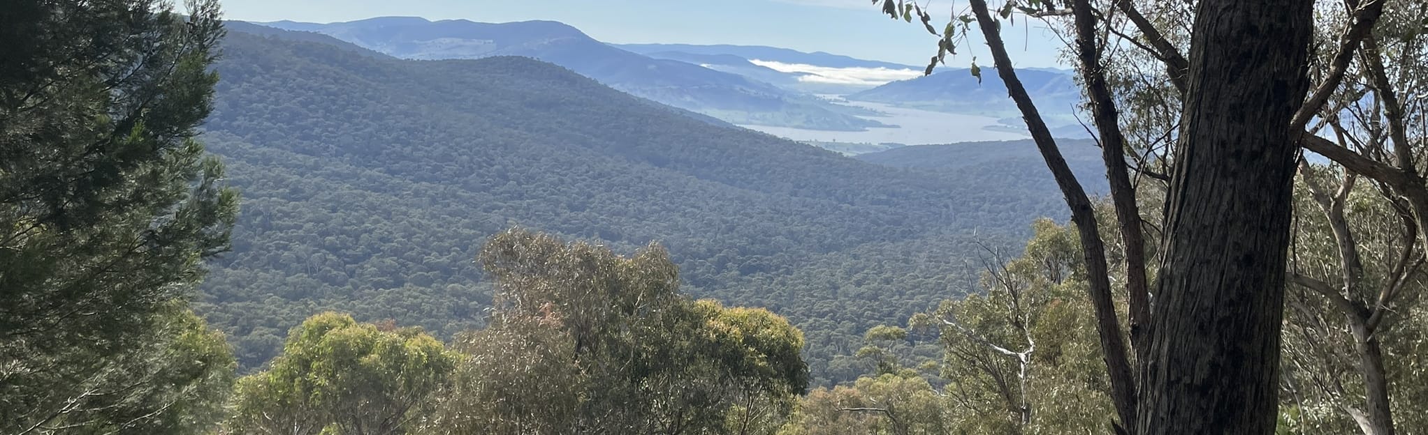 Mount Granya Loop: 19 Reviews, Map - Victoria, Australia | AllTrails