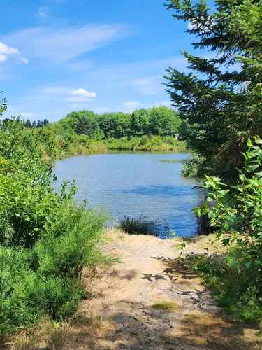 Best Hikes and Trails in Tigard | AllTrails