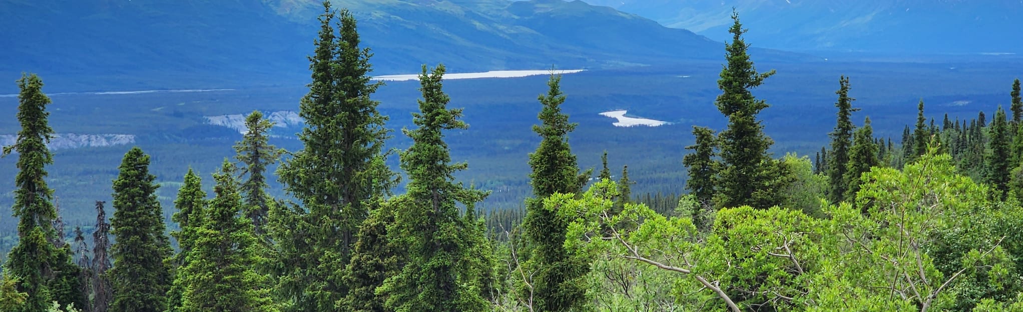 Slide Mountain Trail, Alaska - 16 Reviews, Map | AllTrails