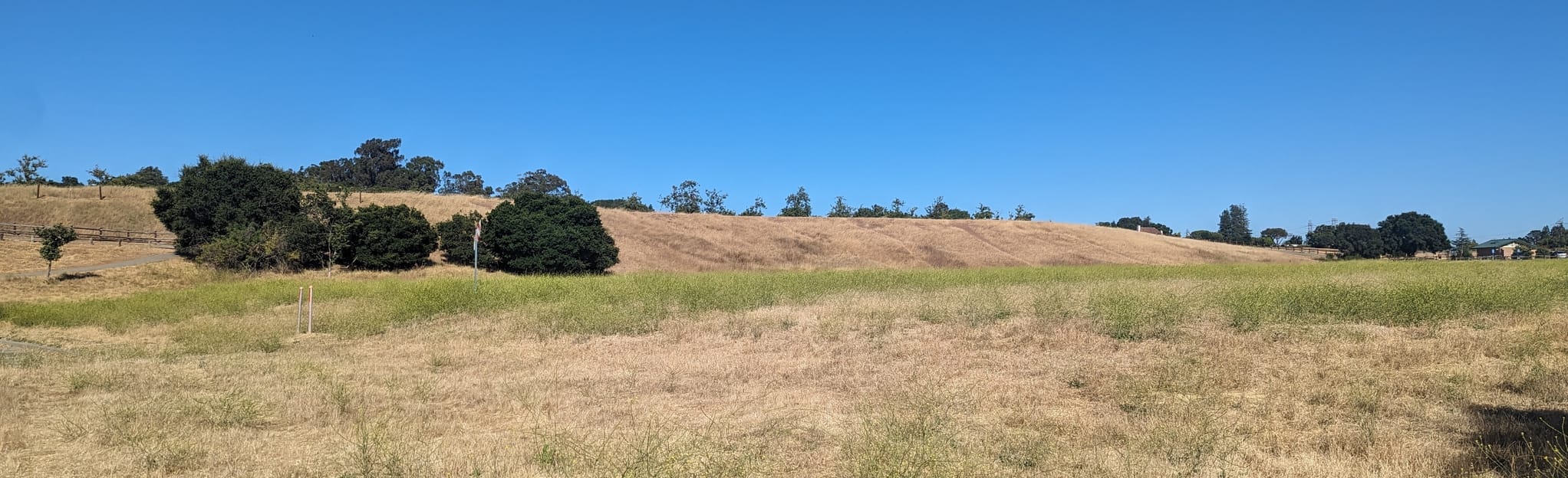 AllTrails | Rhus Ridge and Chamise Trail: 205 Reviews, Map - California