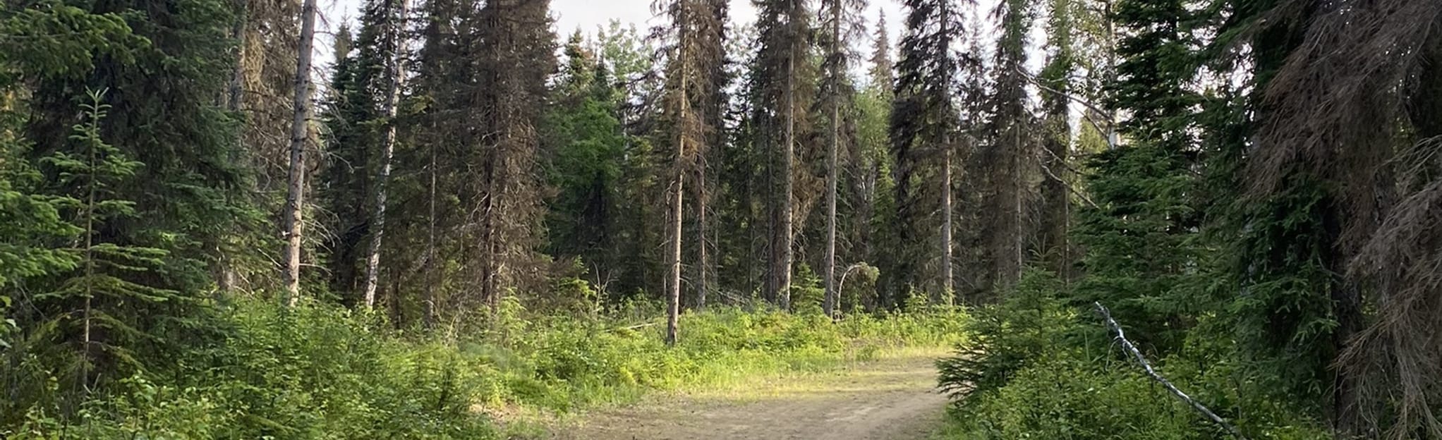 AllTrails | Wolverine, Raven, Wolf and Bear Loop : 57 Reviews, Map - Alaska