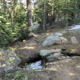 Freel Peak from Armstrong Pass, California - 440 Reviews, Map | AllTrails