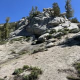 Freel Peak from Armstrong Pass, California - 440 Reviews, Map | AllTrails