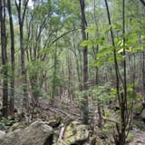 Waihou Spring Trail, Maui, Hawaii - 775 Reviews, Map | AllTrails