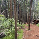 Waihou Spring Trail, Maui, Hawaii - 775 Reviews, Map | AllTrails