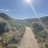 Polecat Short Loop, Idaho - 394 Reviews, Map | AllTrails
