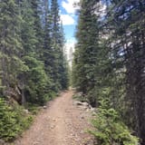 Peru Creek Road, Colorado - 182 Reviews, Map | AllTrails