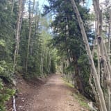 Peru Creek Road, Colorado - 182 Reviews, Map | AllTrails