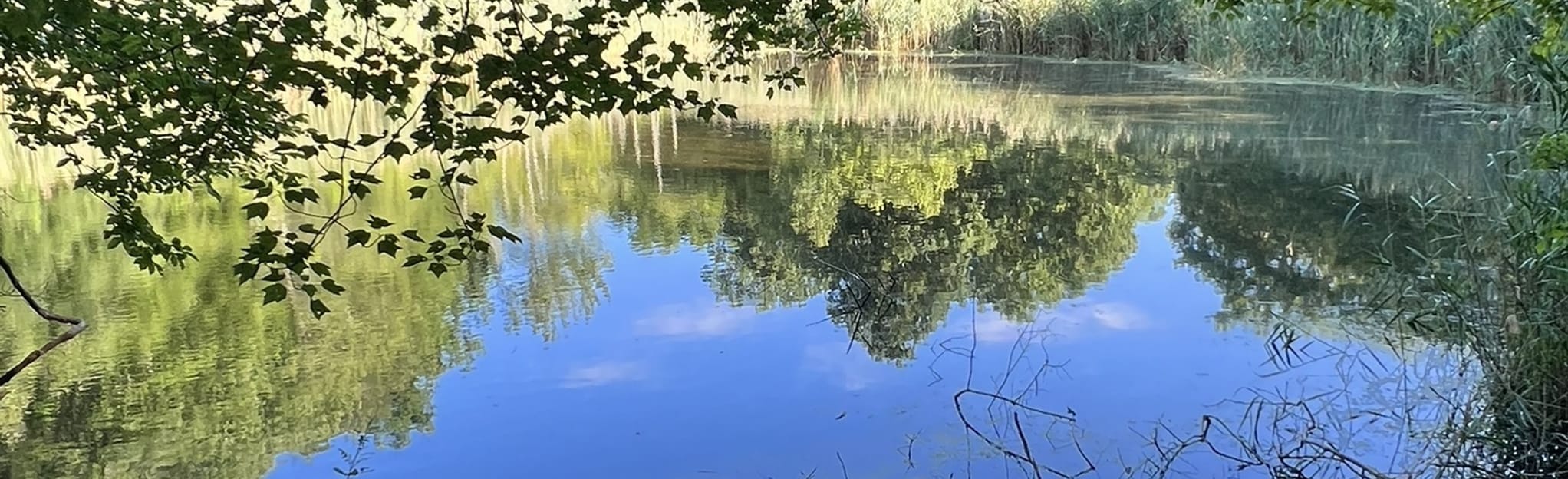 Morton National Wildlife Trail, New York - 288 Reviews, Map | AllTrails