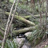 Griffith Falls via Inverness Track, Victoria, Australia - 23 Reviews ...