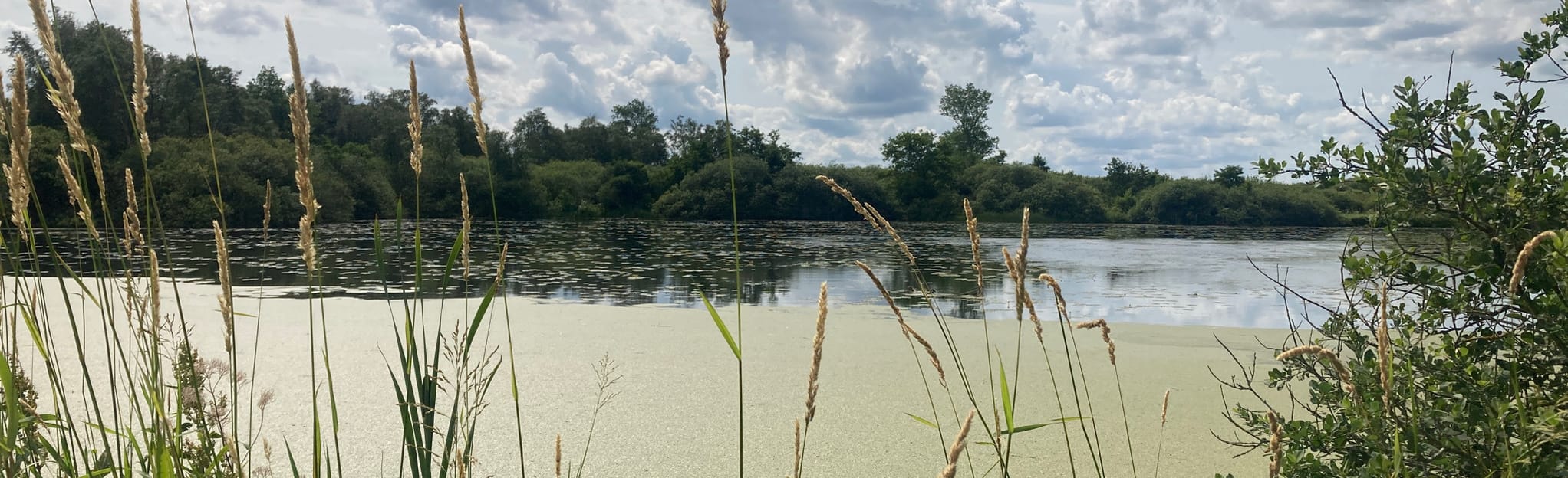 Uldum Kær: 38 Reviews, Map - Central Denmark, Denmark | AllTrails