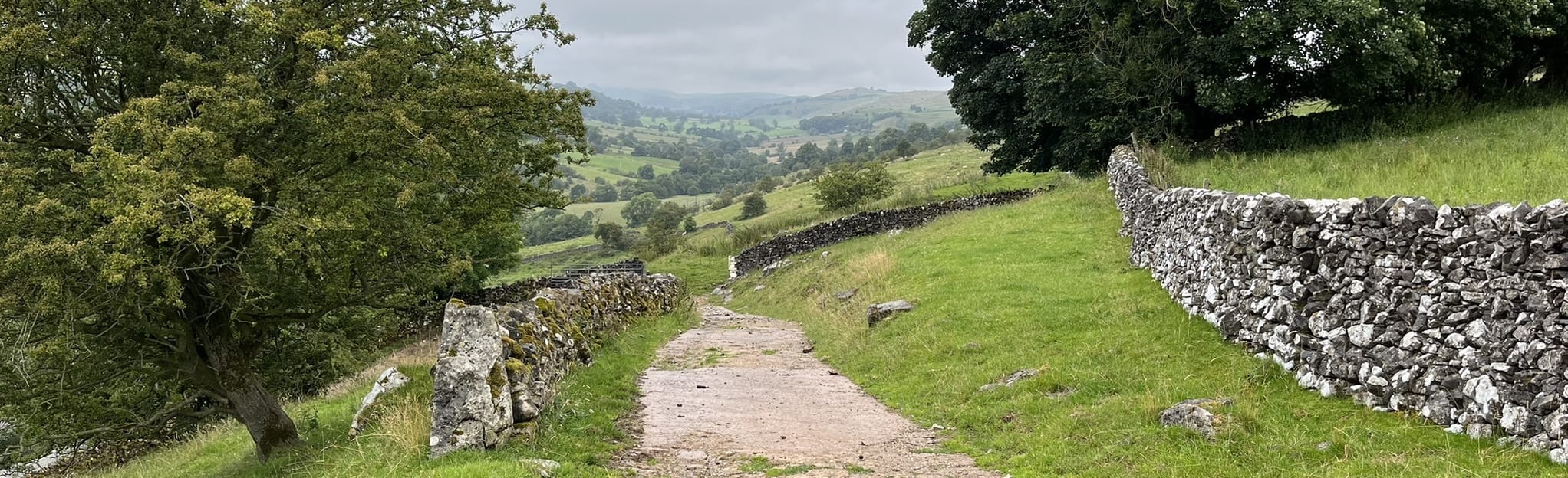 Pilsbury Castle and the Upper Dove Valley Circular: 106 Reviews, Map ...