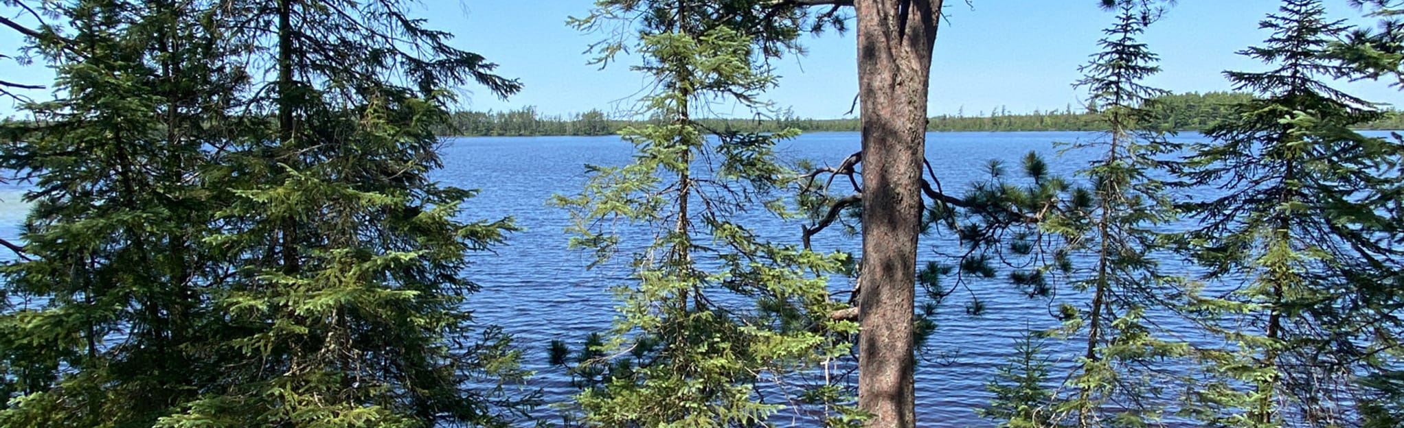 Clark Lake to Tahquamenon Falls: 5 Reviews, Map - Michigan | AllTrails