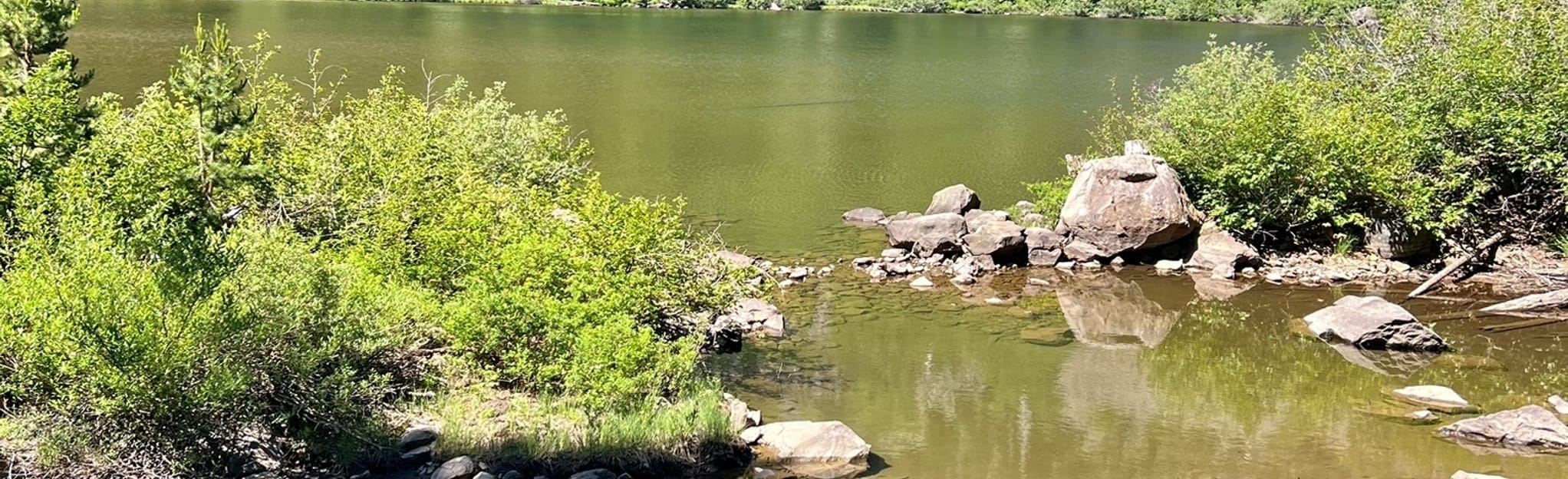 Wyeth Trail, Oregon - 26 Reviews, Map | AllTrails