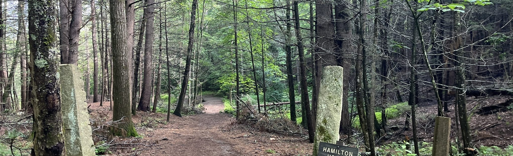 AllTrails | Vaughan Woods Bridal Path: 50 Reviews, Map - Maine