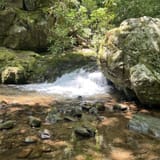 South Toe River Loop Trail, North Carolina - 431 Reviews, Map | AllTrails