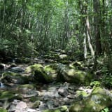 South Toe River Loop Trail, North Carolina - 431 Reviews, Map | AllTrails