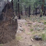 Keyhole Sink Trail, Arizona - 380 Reviews, Map | AllTrails