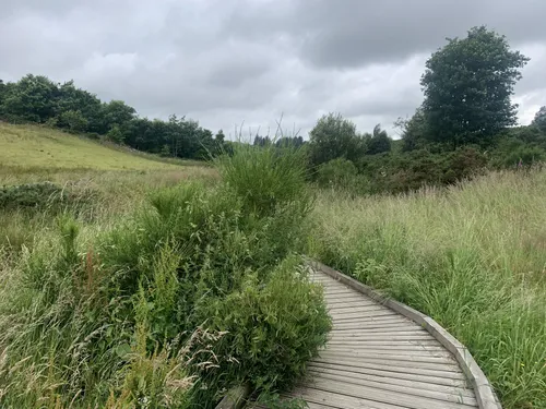 10 Best Forest Trails in Aberdeen | AllTrails