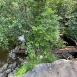 Hawk Ridge Bird Observatory Loop, Minnesota - 263 Reviews, Map | AllTrails