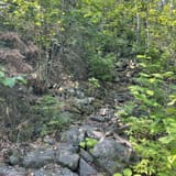 Hawk Ridge Bird Observatory Loop, Minnesota - 263 Reviews, Map | AllTrails