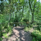 Hawk Ridge Bird Observatory Loop, Minnesota - 263 Reviews, Map | AllTrails