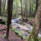 Stevens Glen Trail, Massachusetts - 402 Reviews, Map | AllTrails