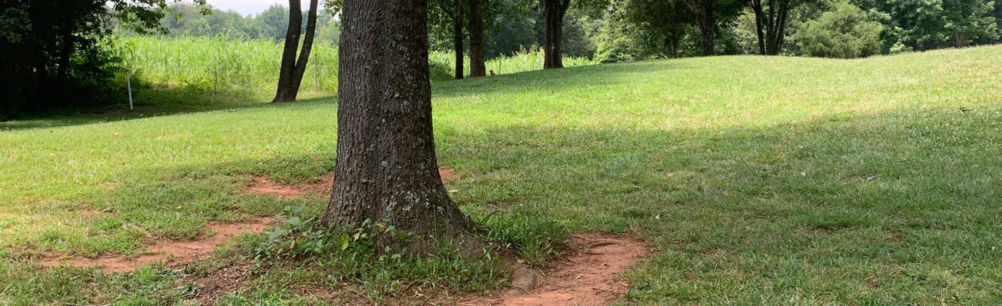 Nevin Park, North Carolina - 119 Reviews, Map | AllTrails