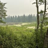 Amisk Wuche Trail, Alberta, Canada - 453 Reviews, Map | AllTrails