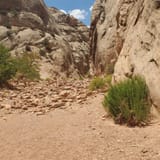 Capitol Gorge to Tanks Trail, Utah - 1,267 Reviews, Map | AllTrails