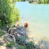 Beckwith Reservoir Loop, Colorado - 27 Reviews, Map | AllTrails