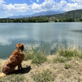 Beckwith Reservoir Loop, Colorado - 27 Reviews, Map | AllTrails