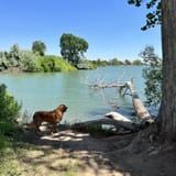 Beckwith Reservoir Loop, Colorado - 27 Reviews, Map | AllTrails