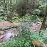 Koomer Ridge Trail, Kentucky - 590 Reviews, Map | AllTrails