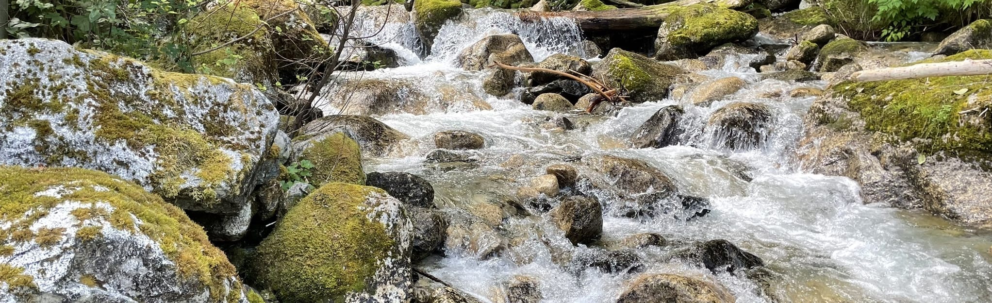 Snooka South Loop and Lookout Trail, British Columbia, Canada - 4 ...