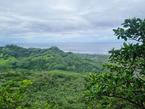 10 Best Trails and Hikes in Rarotonga | AllTrails