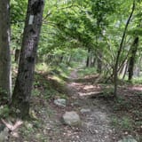 Appalachian Trail: Keys Gap to David Lesser Memorial Shelter, West ...