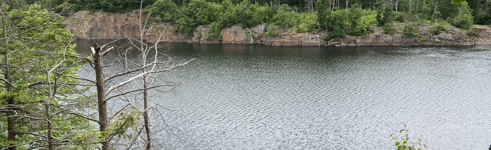 Wassel Reservoir Trail, Connecticut - 156 Reviews, Map | AllTrails