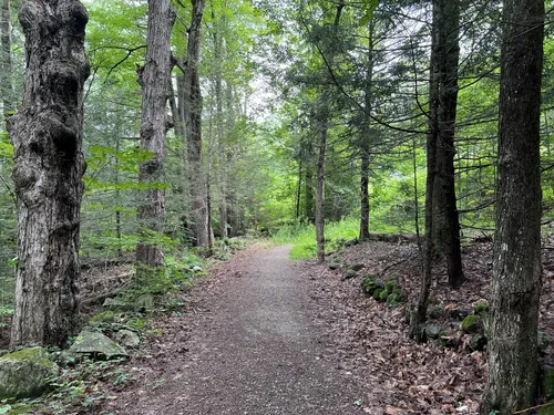 Best Hikes and Trails in Pulpit Rock Conservation Area | AllTrails