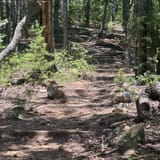 The Pinnacle via Ridgeline Trail and Boulders Access, North Carolina ...