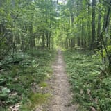 The Pinnacle via Ridgeline Trail and Boulders Access, North Carolina ...