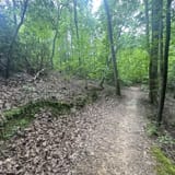 The Pinnacle via Ridgeline Trail and Boulders Access, North Carolina ...