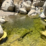 Cold Springs East Fork Trail, California - 344 Reviews, Map | AllTrails