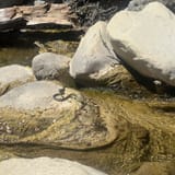 Cold Springs East Fork Trail, California - 344 Reviews, Map | AllTrails