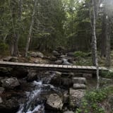 Jordan Stream Path, Maine - 164 Reviews, Map | AllTrails