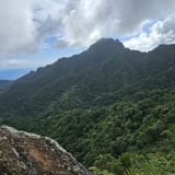 Cross Island Track and The Needle, Rarotonga, Cook Islands - 171 ...