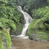 Cross Island Track and The Needle, Rarotonga, Cook Islands - 171 ...