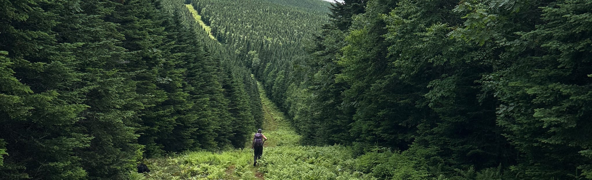 3 sommets Gosford via Border Peaks, Quebec, Canada - Map, Guide | AllTrails