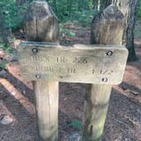 Koomer Ridge Trail, Kentucky - 595 Reviews, Map | AllTrails