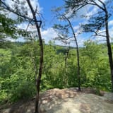 Koomer Ridge Trail, Kentucky - 595 Reviews, Map | AllTrails